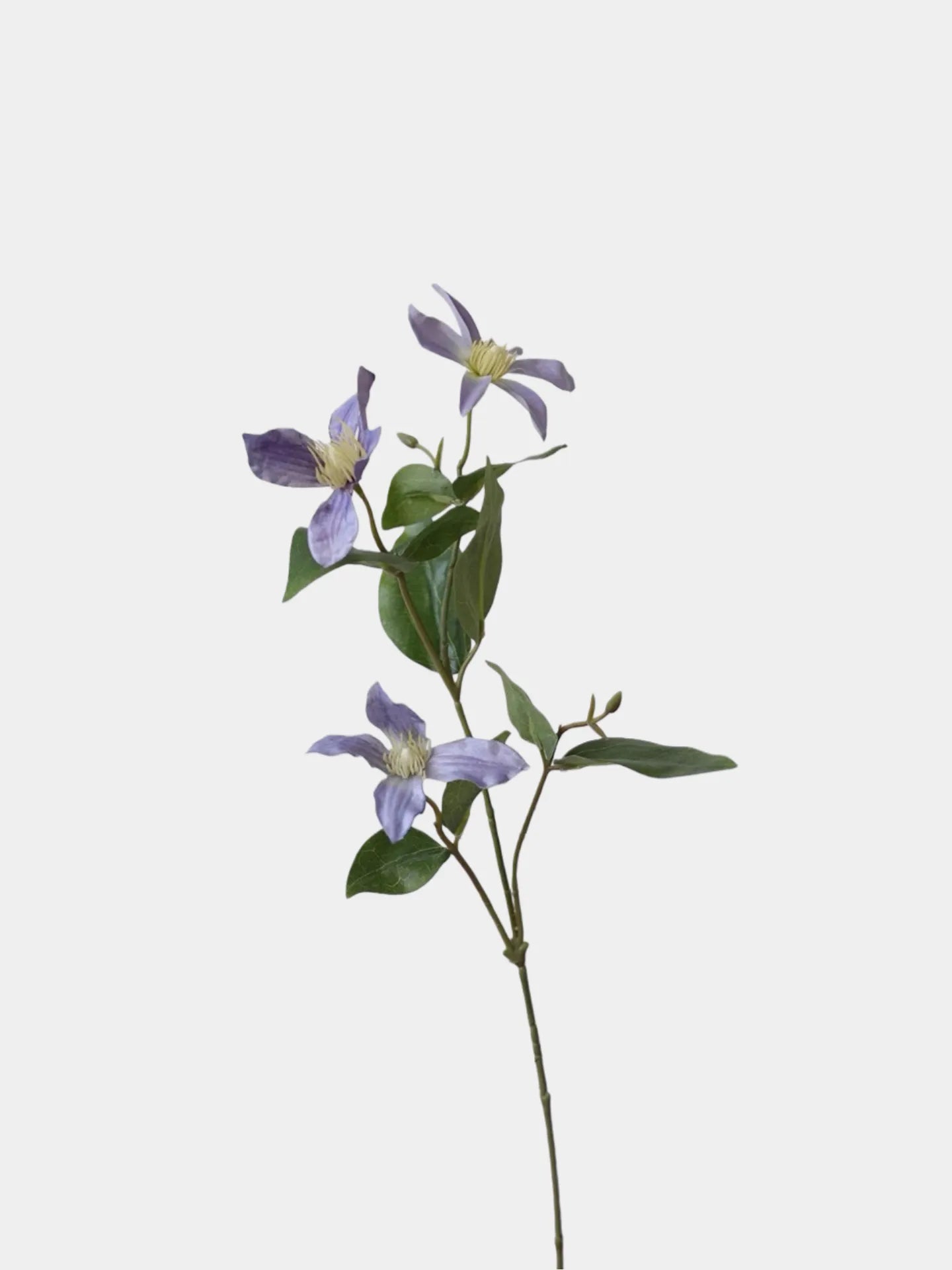Faux Clematis Flower –24.8" – Amoria Bloom